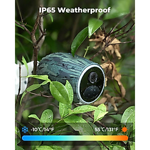 REOLINK 2 Pack Go Plus Celluar Security Camera Bundle with Solar Panel