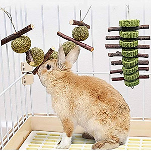 Barley Ears Rabbit Chew Toys for Teeth, 2 Pcs 100% Organic Natural Apple Wood Grass Cake & Ball String, Ideal for Chinchillas, Guinea Pigs, Hamsters Bunny Improve Dental Health