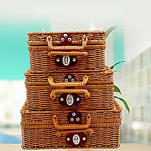 AMAOIS The New Rattan Box has Built-in Iron Frame, Lacquered Storage Box, Woven Storage Basket, Photography Props Gift Box New Rattan Box 30cm+Lining Brown