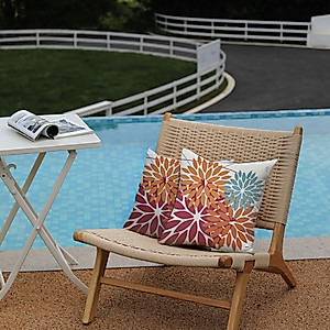DFXSZ Outdoor Throw Pillow Covers 18x18 Inch Set of 2 Waterproof Spring Summer Geometric Elegant Burnt Orange Outdoor Pillow Covers for Patio Funiture Garden Couch 168D18