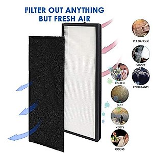 Flintar H13 True HEPA Replacement Filter, Compatible with Eureka NEA120 and Toshiba Smart WiFi Air Purifier, H13 Grade True HEPA (NEA-F1) and 4 Activated Carbon Filters (NEA-C1) (Set of 1)