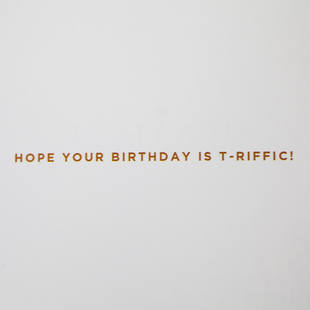 Hallmark Signature Birthday Card for Boy (T Rex)