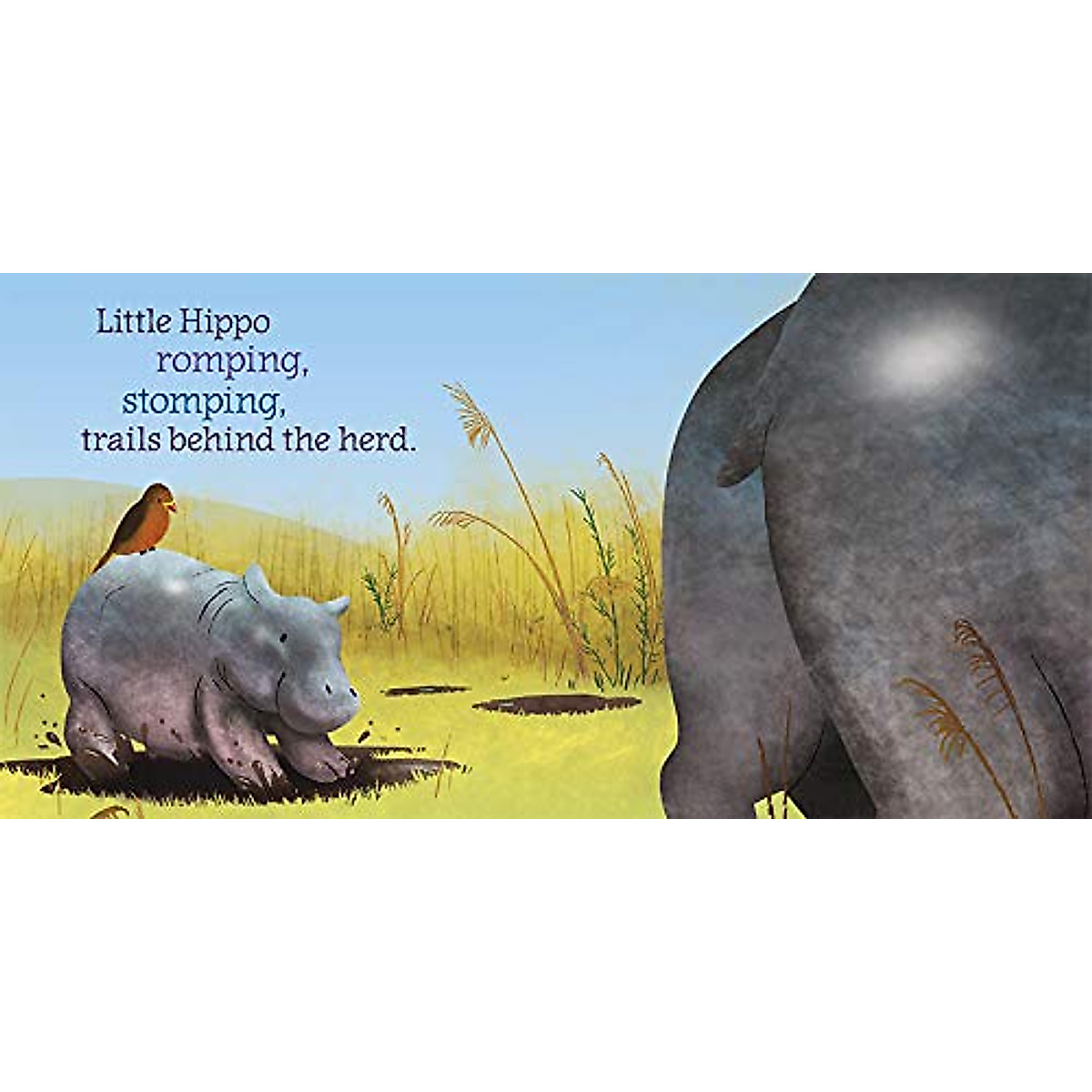 Little Hippo (Little Animal Friends)