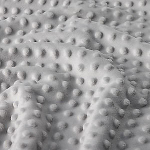 HOMRITAR Baby Blanket for Kids Super Soft Minky Blanket with Dotted Backing, Toddler Blanket with Dinosaurs Multicolor Printed 30 x 40 inch(75x100cm)