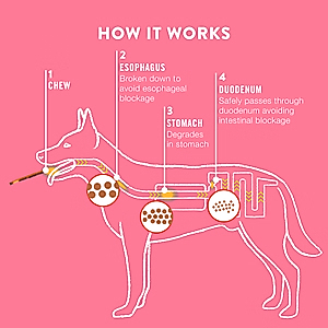 TRURANCH Large Pork Skin Rolls, Chicken-Wrapped Jerky, Made with Real Pork Skin, Rawhide Alternative, Healthy Dog Chews, 1 Bag, 2 Count