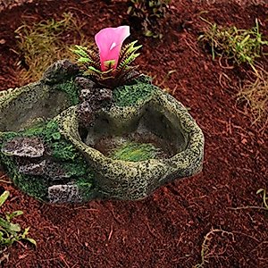 Resin Reptile Platform Artificial Tree Trunk Reptile Food Dish Food Water Bowl Lizard Crawling Platform for Lizard Turtle Gecko Water Frog Snake Amphibian Other Reptile
