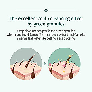 Ryo Scalp Deep Cleansing & Cooling Conditioner 500ml (16.9oz) Excess sebum care, For smelly scalp, Fermented mint and other natural ingredients, Anti- Dandruff treatment