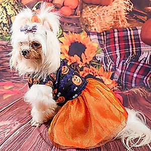 Gyuzh Halloween Dog Dress Puppy Dresses Pumpkin Bat Skull Dresses for Dogs Halloween Pet Puppy Dog Cat Dress Costume for Small Dogs Cats
