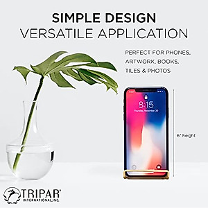 TRIPAR 4 Inch Metal Gold Plated Square Wire Plate Stand Holder Easel Display for Cookbooks, Photos, Picture Frames, & Plates