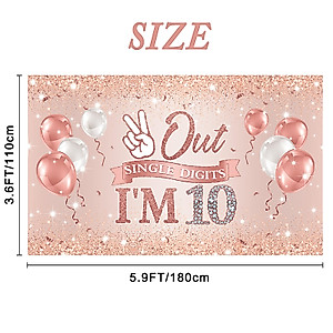 Holkcog Rose Gold Happy 10th Birthday Party Banner Backdrop for 10-Year-Old Girls Double Digits Birthday Girl "I'm 10" Bday Banner Rose Gold 10th Birthday Photo Background 10th Party Decorations supply