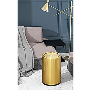 Huaqinglian Stainless Steel Gold Trash can with Flipping Lid 2.4gallon Fingerprint-Proof Garbage cans Wastebasket Bin for Kitchen bothroom Living Room (Gold)