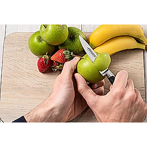 ARCOS Paring Knife 4 Inch Stainless Steel. Professional Kitchen Knife for Cut, Peel and Clean Food. Ergonomic Polyoxymethylene Handle and 100 mm Blade. Series Kyoto. Color Black