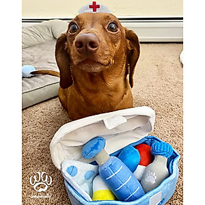 wowmolly Medicine Box Design Plush Chew Dog Toys Including Syringe 3 Pills Tablet Pill Potion Bottle Squeaky Interactive Custom Stuff Pet Toy for Small, Medium Dogs