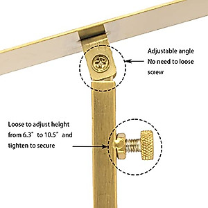 DZLOHAS Shoe Display Stand Golden, Risers Stand Countertop Adjustable Shoe Rack Retail Supplies Stainless Steel Shoe Display, 2 Sets of Shoe Rack (Style2, Golden)