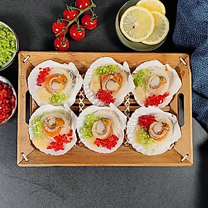 10 PCS 4-5 inch Large Scallop Shells Baking Sea Shells Large Natural White Scallop Shell From Sea Beach For DIY Craft Decor