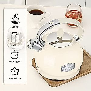 RETTBERG Tea Kettle for Stovetop Whistling Tea Kettles Retro Black Stainless Steel Teapots, 2.64 Quart (Cream)