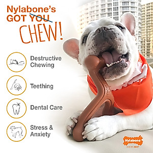 Nylabone Durachew Chicken Blister Card Wolf
