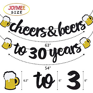 30 Years Anniversary Decorations - Cheers & Beers to 30 Years Banner with Pom Poms 30th Sparkling Hanging Streamers for 30th Birthday Wedding Party Supplies Decorations - PRESTRUNG