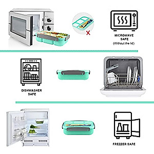 BentoMoment Bento Lunch Box, 4 Compartments Lunch Box Containers for Adults, 5 Cups Bento Box with Utensils& Fruit Fork, Cute Snack Lunch Box, Leakproof Microwave Safe Bento Boxes, Green