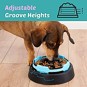 Paw Place Slow Feeder Dog Bowls Small Breed- Adjustable Slow Eating Dog Bowl Slow Feed Bowl