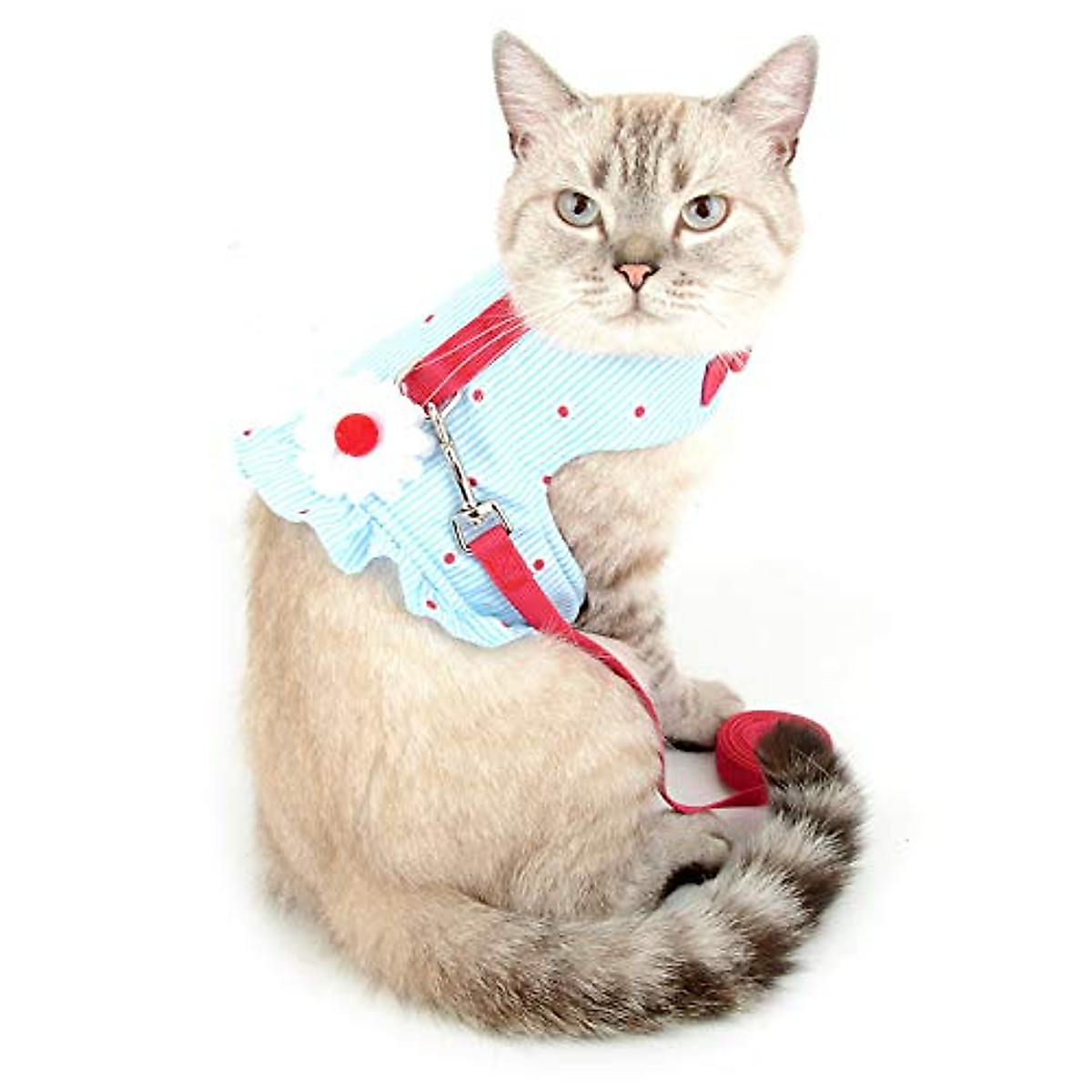 SMALLLEE_LUCKY_STORE Bow Flower Striped Print Cat Small Dog Harness Dress with Leash for Girls Adjustable No Pull Escape Proof Soft Walking Jacket Waterproof Puppies Kitten Harness Vest Outdoor,Blue S
