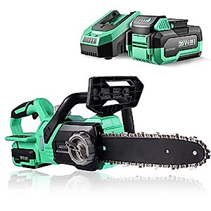 DREAMVAN Cordless Chainsaw, 20V Battery Powered Chainsaw, 10'' Battery Chainsaw with 4.0Ah Lithium Battery & Fast Charger, Electric Chainsaw for Trees Pruning, Wood Cutting, Farm/Garden