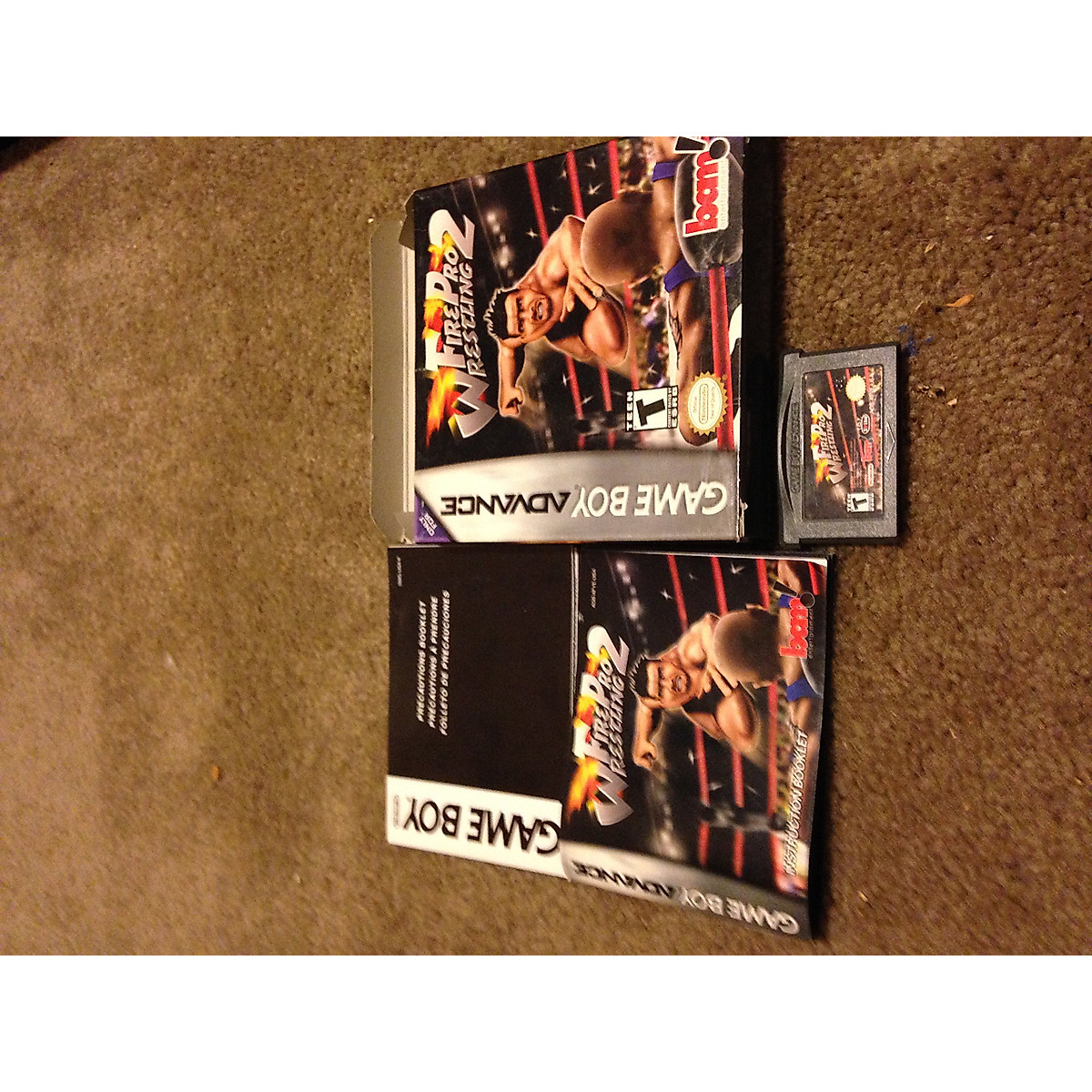 Fire Pro Wrestling 2 - Game Boy Advance