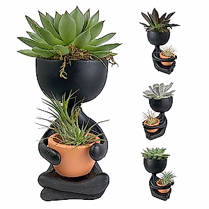 Zen Harmony Planter - Live Plants in a Decorative Pot - Cactus | Succulent | Air Plant - A Symbol of Serenity and Natural Beauty