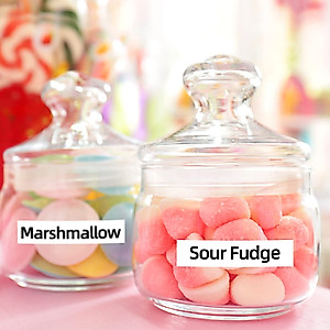 Compatible with Dymo Plastic Label Tape, Replacement for Dymo Letratag Label Refills 12mm x 4m 1/2 x 13 Color Tape 91331 91330 16952 Work for Dymo Letra Tag LT-100H LT-100T QX50