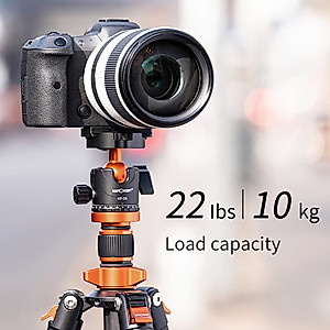 K&F Concept 63" Carbon Fiber Camera Tripods,D254C1+BH-28L Compact Tripod with Detachable Monopod, Metal Ball Head 10KG Load Capacity with Quick Release Plate for SLR DSLR Digital Camera/Camcorder