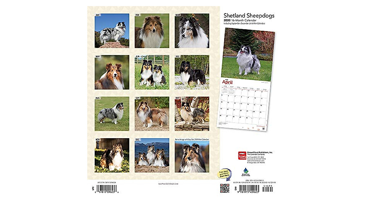 Shetland Sheepdogs Calendar 2020 | Beautiful Dog Wall Art & Organizer