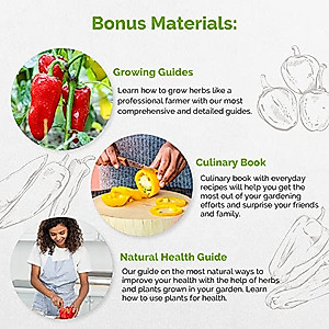 12 Rare Sweet & Mild Pepper Seeds Variety Pack for Planting Indoor & Outdoors. 600+ Non-GMO Pepper Garden Seeds: California Wonder Bell, Anaheim, Cubanelle, Pepperoncini, Banana Peppers & More