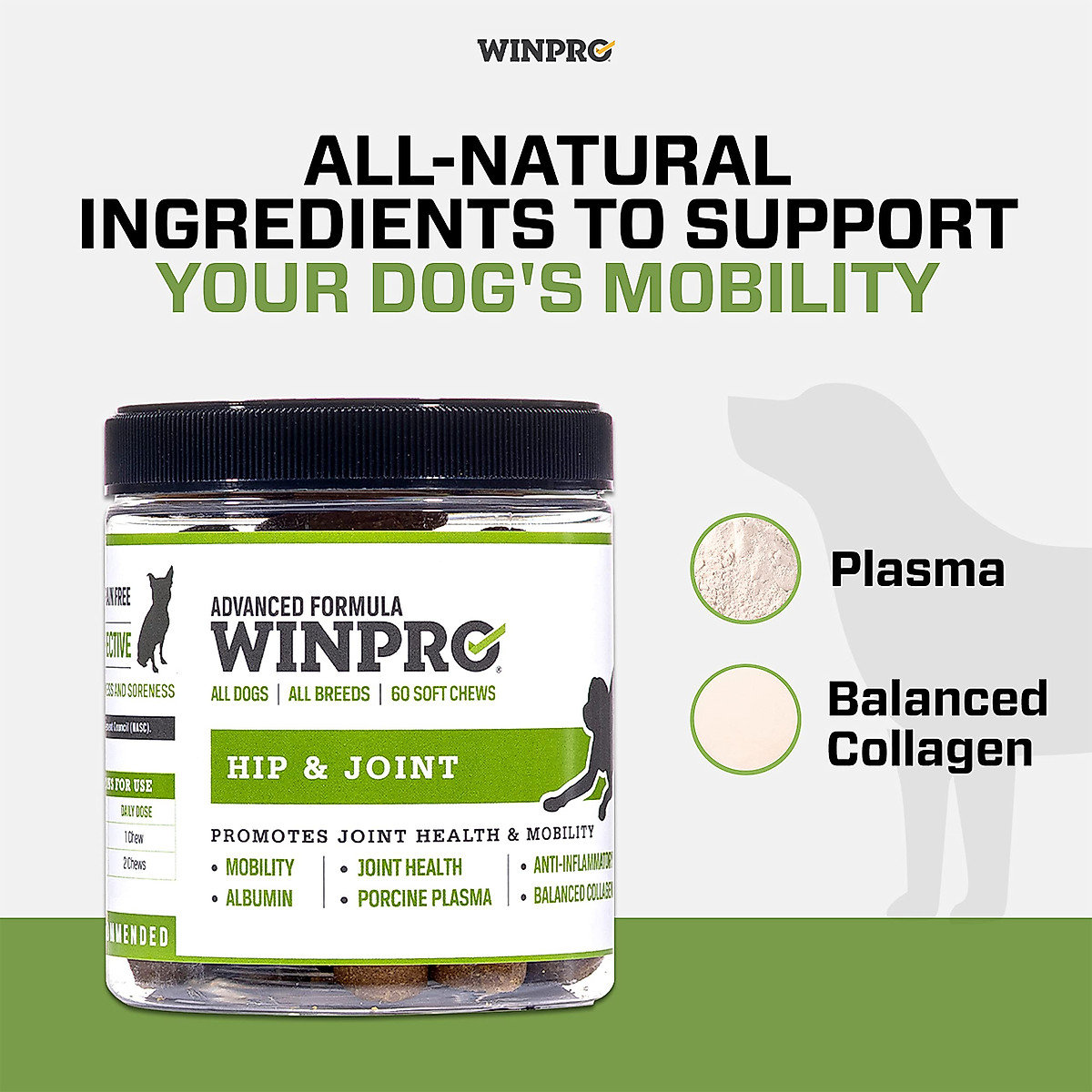 WINPRO | Dog Hip and Joint Supplement, Plasma-Powered Chews for Joint Support in Dogs of All Breeds and Sizes, Fast Acting with Collagen, 60 Count, Made in USA