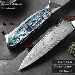 FFRR Knife Cleaver Chinese Chopping Knife Professional Kitchen Japanese Knife Set Steel Chef Knife Abalone Shell Handle Santoku Meat Vegetable Cleaver Cut Cutting Vegetable (Color : 5PCS)
