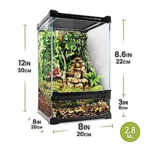 Reptile Tall Glass Terrarium, Vertical Tank Starter Kit, 8x8x12in Mini Front Open Door Cage, Full View Screen Habitat Ventilation Enclosure for Small Chameleon Snake Lizard Amphibians Geckos Frogs