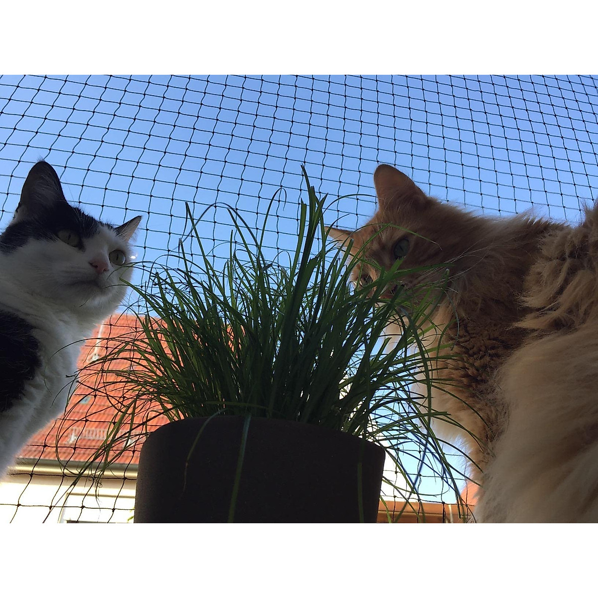 AIYGO Cat Netting Balcony Pet Mesh Fence for Balcony Black Nylon Balcony Netting for Pets Anti-Fall Cat Net for Balcony and Windows（10 * 20ft）