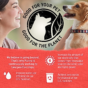 Purina Beyond Beef, Potato, And Green Bean Grain Free Wet Dog Food Natural Pate With Added Vitamins And Minerals - (12) 13 Oz. Cans