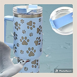 Generic 40 oz Tumbler with Handle & Fruit Infuser, Stainless Steel Vacuum Insulated Cup with Lid & Straw, Water Infusion Bottle Cupholder Friendly Travel Mug Gifts for Women Men Her (Light blue)