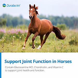 PRN Pharmacal Duralactin Equine Joint Plus Pellets - Joint Health Support Supplement for Horses Helps Support Healthy Cartilage, Joint Function & Soreness Management - 3.75 lbs
