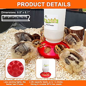 ZenxyHoC 1L Chick Feeder and 1.5L Chick Waterer Kit with 3 Adjustable Heights Combo for Baby Chicken Duck Brooder