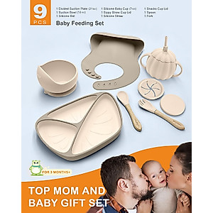 BRVTOT Baby Silicone Suction Plates and Bowls Set with Sippy Straw Snack Cup, Bib, Spoon Fork, 9 PCS Toddler Led Weaning Supplies, Feeding Dishes Set for Toddler Baby Gifts