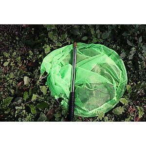 RESTCLOUD Bait Net and Fishing Landing Net with Telescoping Pole Handle Extends to 59 inches (Green)