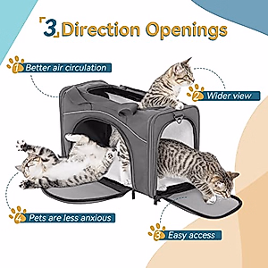 Petsfit Two-Way Placement Dog Carrier Cat Carrier, 19"x 12"x 9" Soft-Sided Airline Pet Carrier for Kittens, Puppies up to 15 Lbs, Gray
