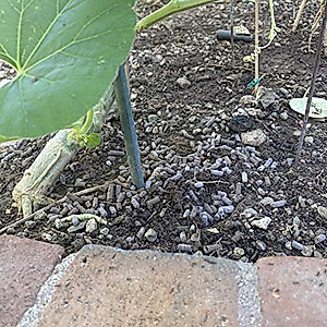 Flosage NPKure, 4-2-2 NPK, Chicken Manure Pellets, All-Purpose, All-Natural Fertilizer, Organic, Do Not Burn Roots, for Common Crops, 3 Pounds