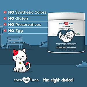 L-Lysine Supplement for Cats 4oz/120g - Cat Supplement for Sneezing and Runny Nose, Cat Cold, Cat Immune Support, Eye Function and Respiratory Health – Lysine Powder for Cats, Salmon Flavor