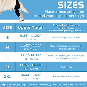 Noillow Dog Knee Brace, Dog Leg Brace for Sprain ACL, CCL, Arthritis - Keeps The Joint Warm and Stable, Leg Wounds Care and Prevent Licking, Dog Rear Leg Luxating Patella Brace-Right-L