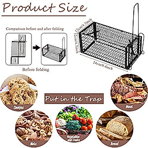 Humane Rat Trap Chipmunk Squirrel Rodent Trap Foldable Mouse Trap Small Live Animal Mouse Voles Hamsters Live Cage Rat Mouse Cage Trap for Mice Easy to Catch and Release, 9.4x4.7x4.7 Inches (4 Pcs)