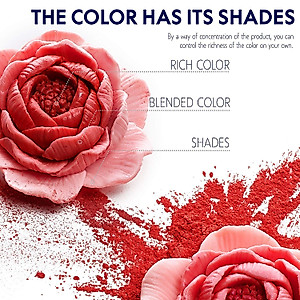 Mica Powder (Bronze) 2 oz – Soap Making Kit – Powdered Pigments Set – Soap Making dye – Single Color - Hand Soap Making Supplies - Resin Dye - Mica Powder Organic for Soap Molds