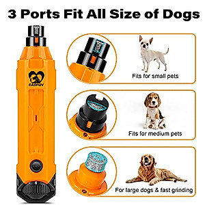 Casfuy 6-Speed Dog Nail Grinder - Newest Enhanced Pet Nail Grinder Super Quiet Rechargeable Electric Dog Nail Trimmer Painless Paws Grooming & Smoothing Tool for Large Medium Small Dogs (Orange)