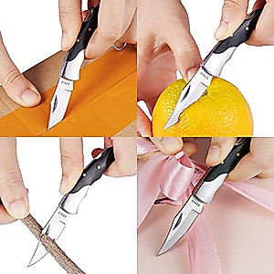 EZKIT Small Pocket Knife, EDC Pocket Knife, D2 Stainless Steel and Wood Handle, Small Knife, Blade Length 2in